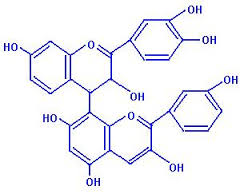 đặc điểm và ứng dụng của dược liệu chứ tanin dược học
