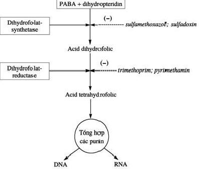 Fansidar là thuốc điều trị bệnh sốt rét được dùng khi